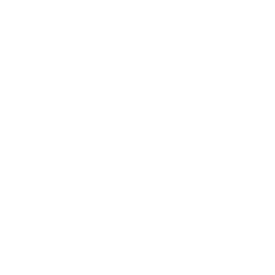 Clio 3 RS Solid Subframe Mounts